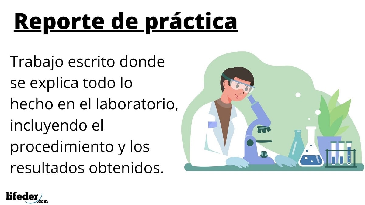 Reporte De Práctica Qué Es Estructura Cómo Hacerlo Y Ejemplo