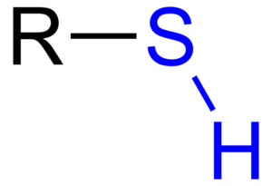 Tioles: propiedades, síntesis, usos, ejemplos, nomenclatura
