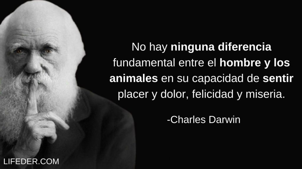 70 Frases de Charles Darwin sobre la evolución y Dios