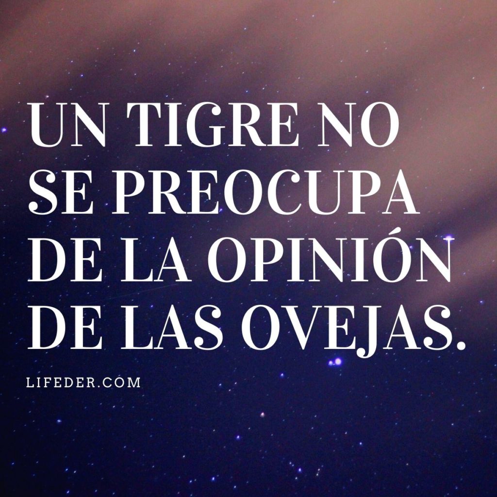 100+ Frases de Autoestima ALTA y POSITIVA para Inspirarte