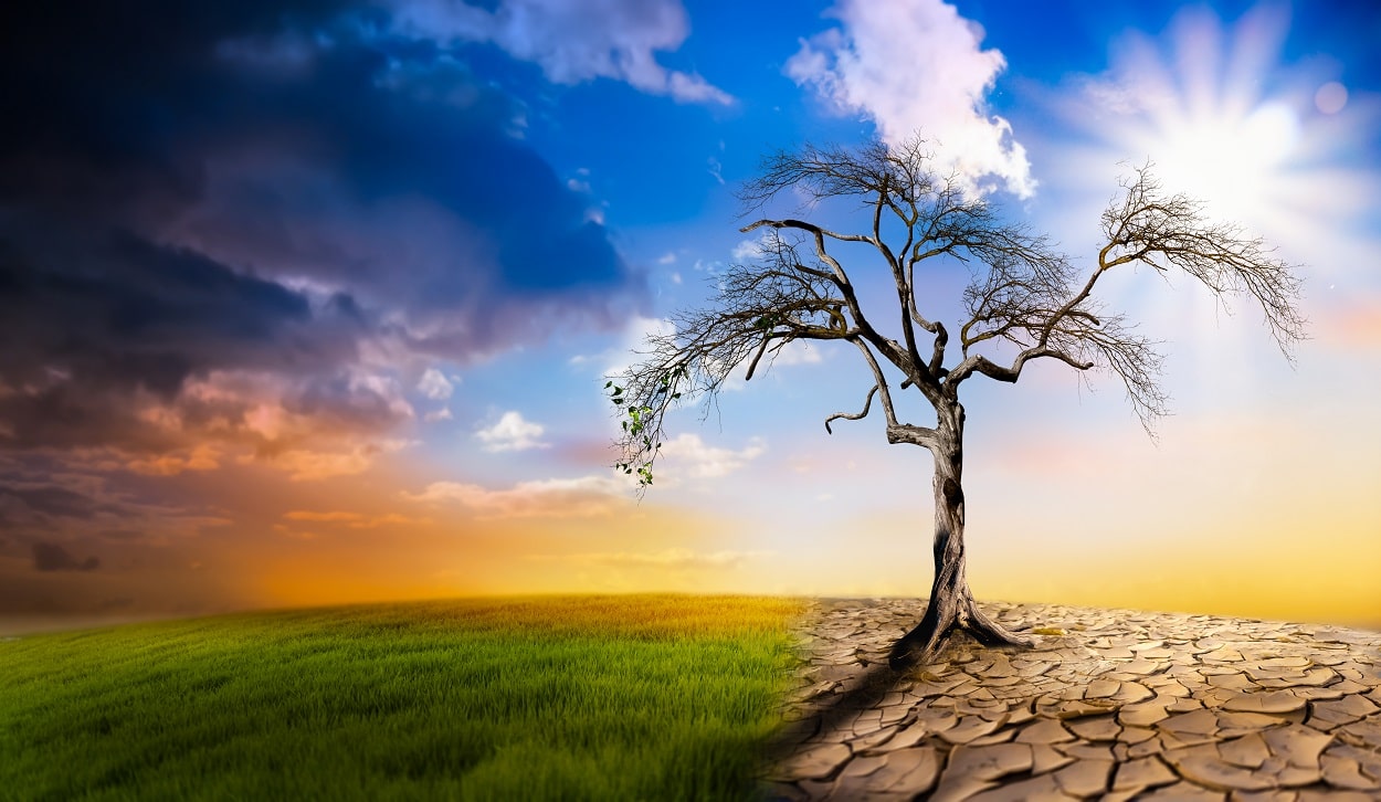 Calentamiento global: qué es, explicación, causas, consecuencias