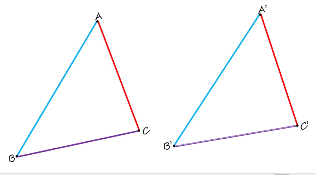 Lados homólogos: concepto, explicación, ejemplos, ejercicios