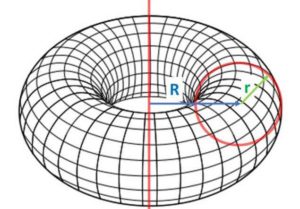 Toroide o toro dona: qué es, características, volumen, superficie, ejemplos