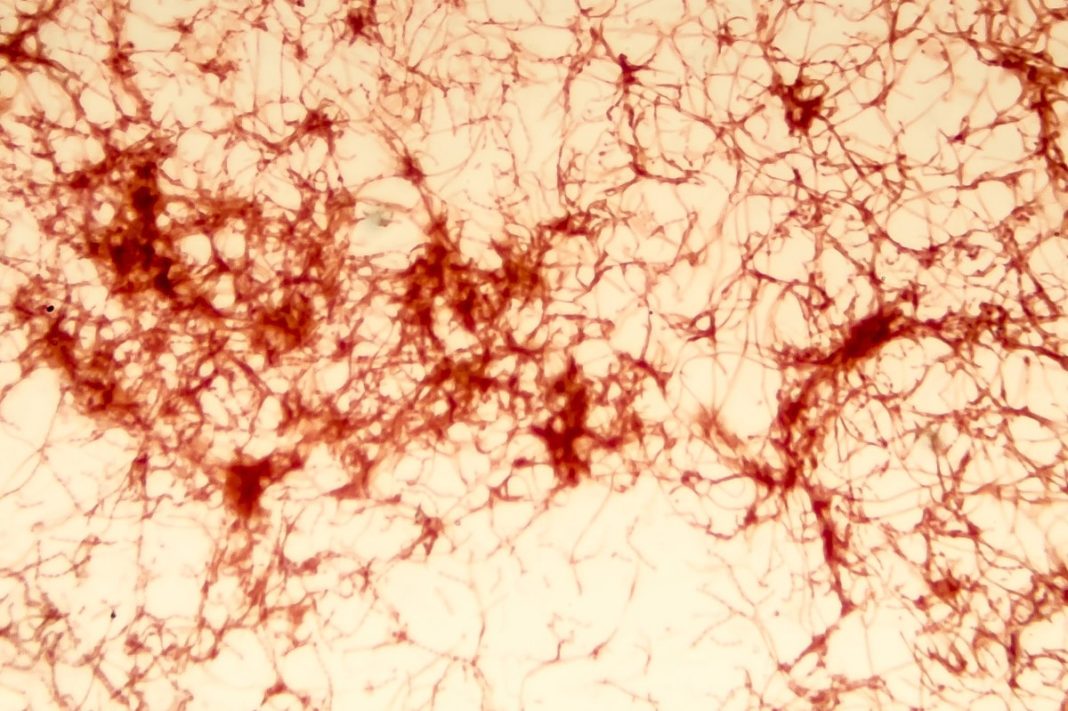 25 Temas Interesantes para Investigar 25 Temas Interesantes para Investigar