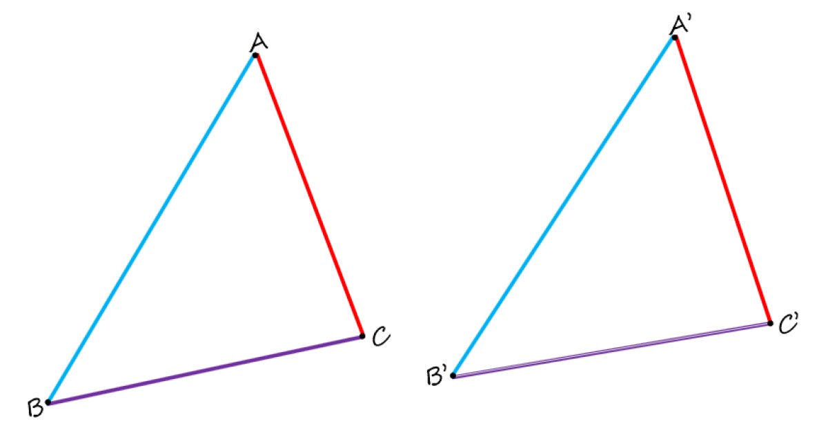 Lados homólogos: concepto, explicación, ejemplos, ejercicios