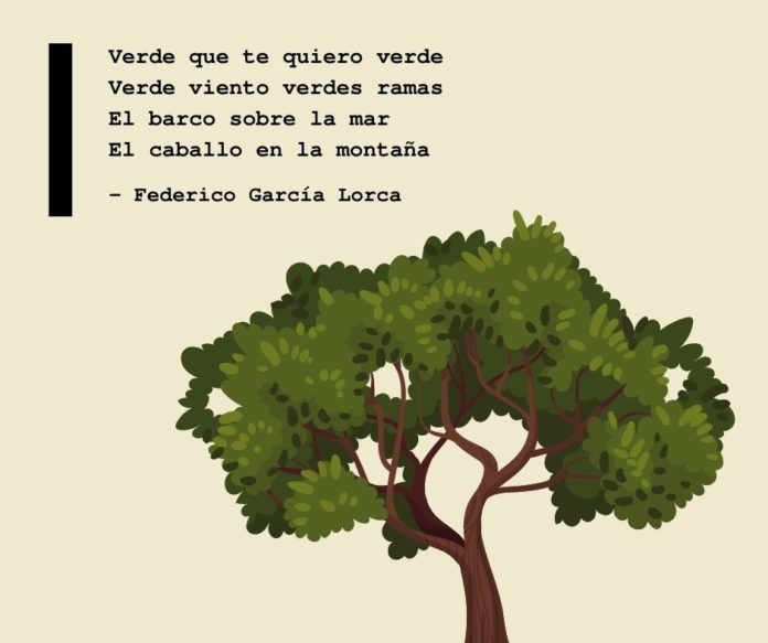 Partes de un poema (estructura) y sus características, con ejemplos