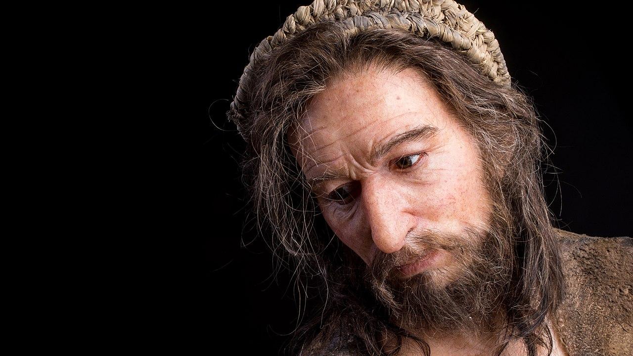 Homo sapiens: qué es, origen, características, alimentación, herramientas