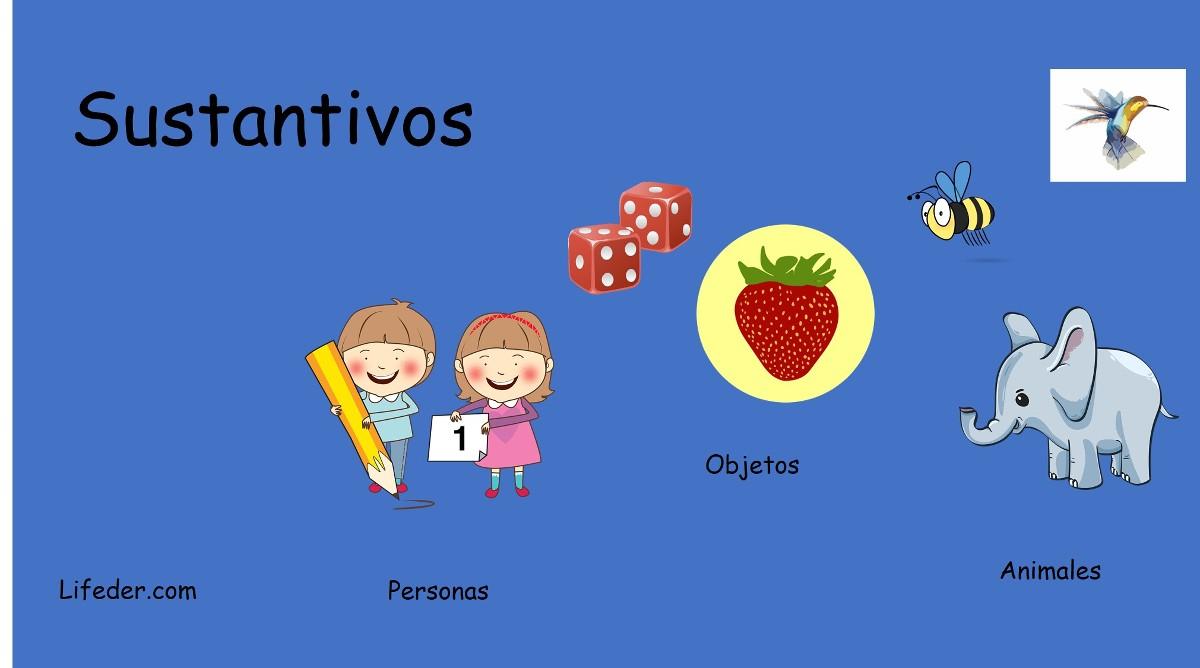 Sustantivo: qué es, tipos, género y número, funciones y ejemplos