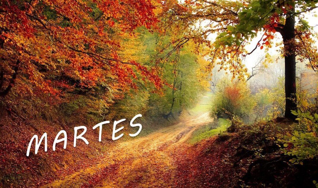 55 bonitas frases de martes para reflexionar, dedicar y compartir