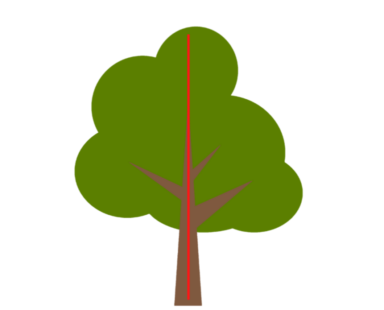 Simetría: qué es, definición, significado, ejemplos