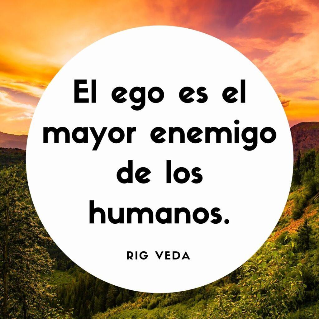 55 frases de ego para reflexionar, compartir y dedicar
