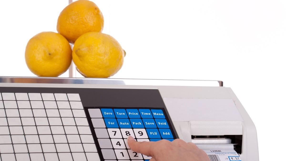 Diferencias entre peso neto y peso bruto (con ejemplos)