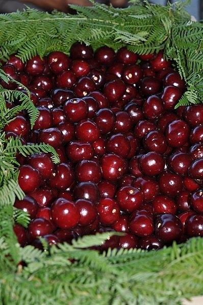 Lista de 16 frutas que empiezan con S