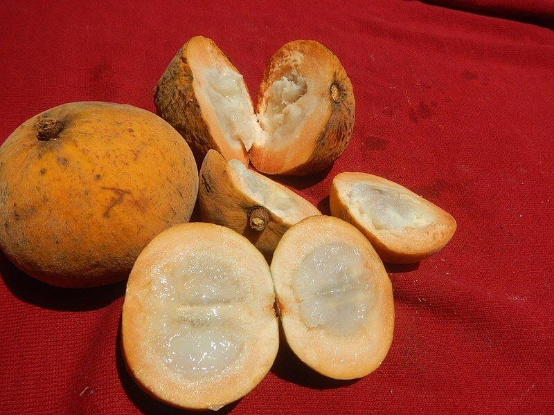 Lista de 16 frutas que empiezan con S