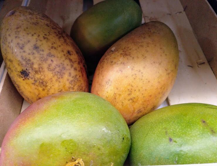 Lista de 16 frutas que empiezan con S