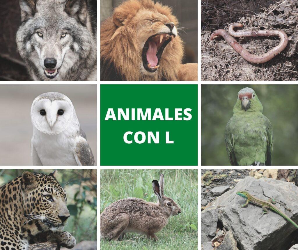 Lista de 20 animales que empiezan con L