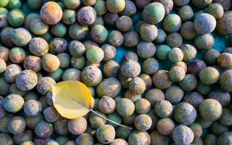 Lista de frutas que empiezan con D