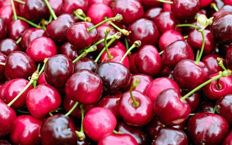 Lista de frutas que empiezan con G