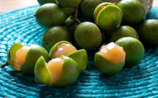 Las 19 frutas que empiezan con M más conocidas