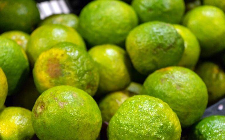 Lista de frutas que empiezan con N