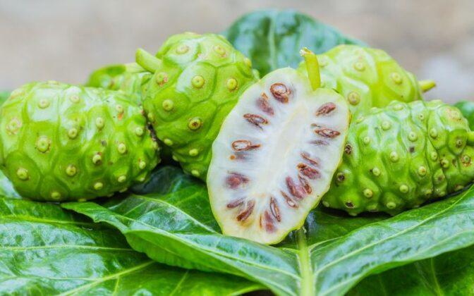 Lista de frutas que empiezan con N