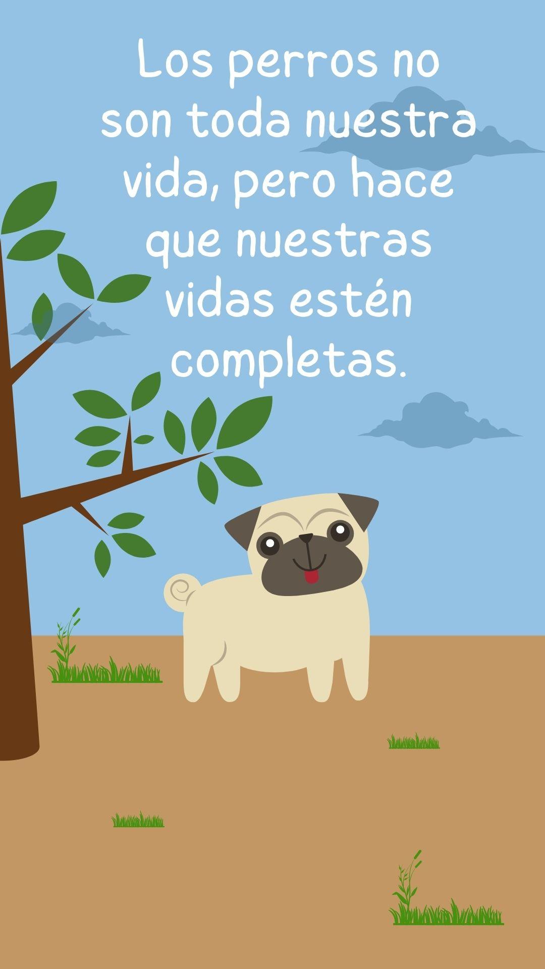 85 frases de animales y mascotas para dedicar, reflexionar y compartir