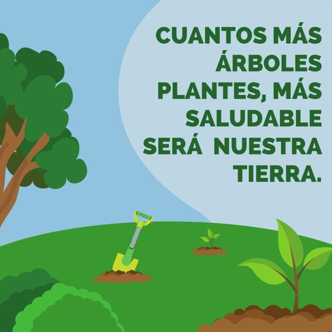 61 frases ecológicas cortas para reflexionar y proteger la naturaleza