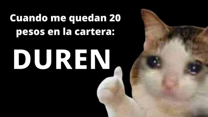 Duren / meme: qué es, origen, significado y variantes