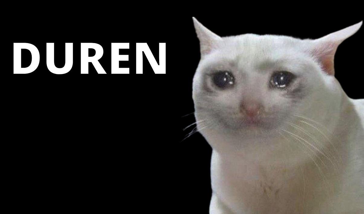 Duren / meme: qué es, origen, significado y variantes
