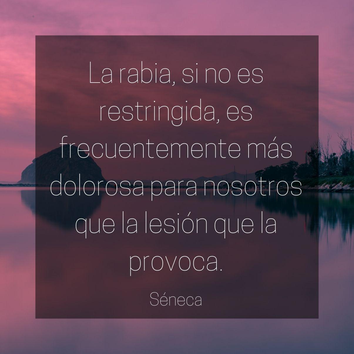 65 rases de rabia, enojo, desilusión e impotencia