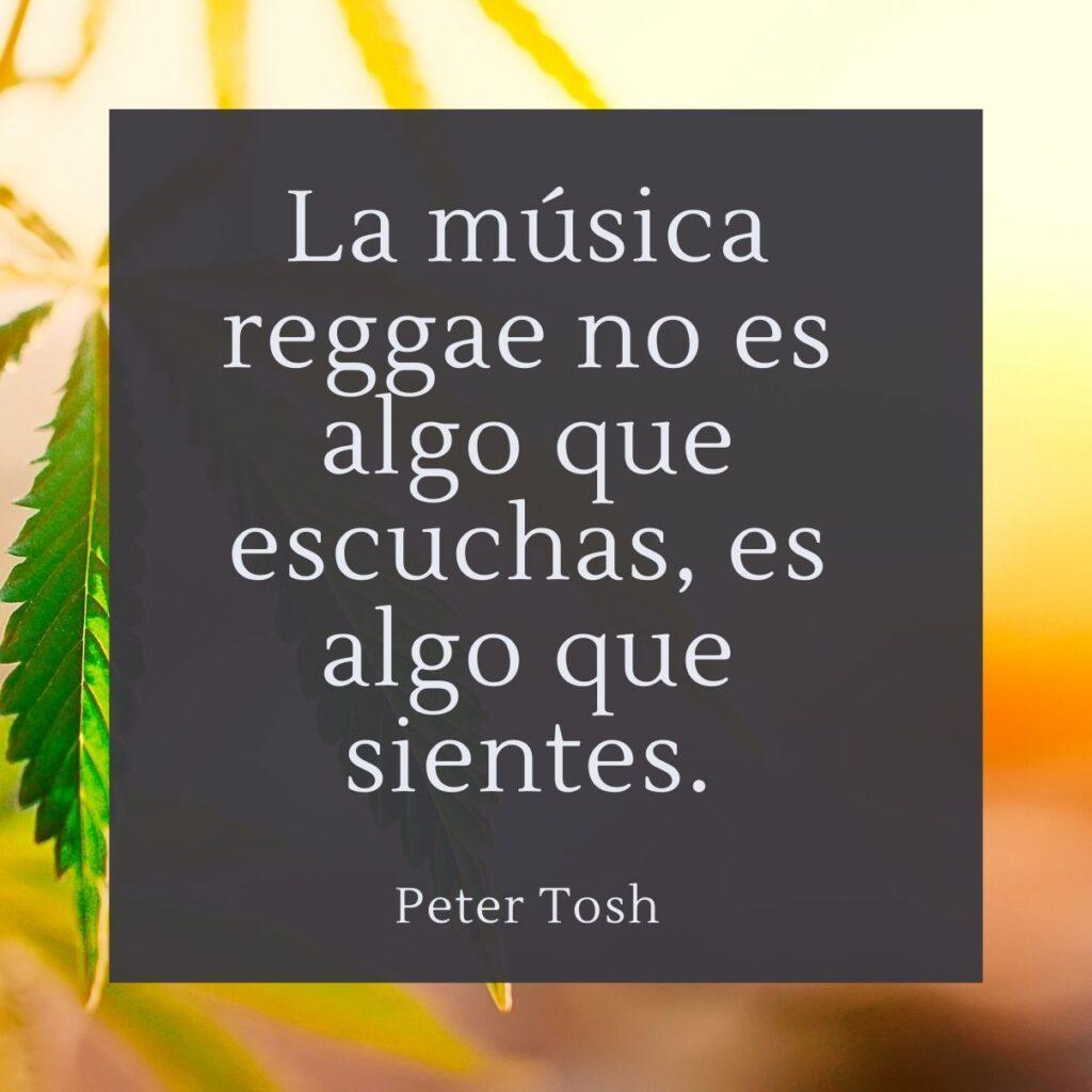 76 frases de reggae y rastafari sobre paz, amor, familia, vida y más