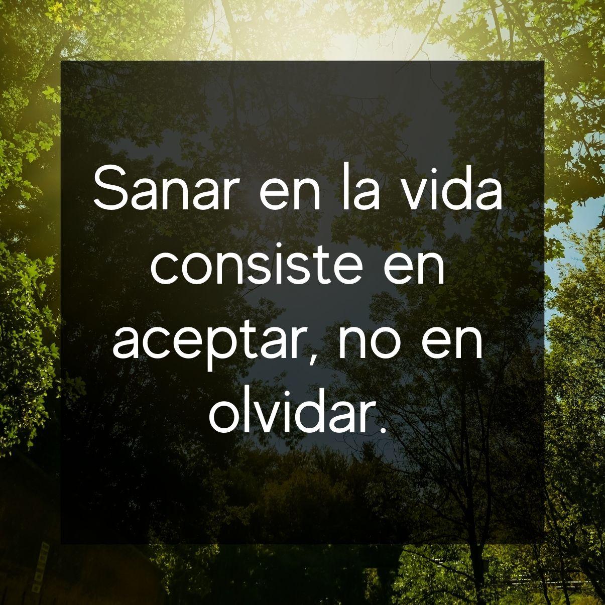 +100 frases profundas de la vida para reflexionar y meditar