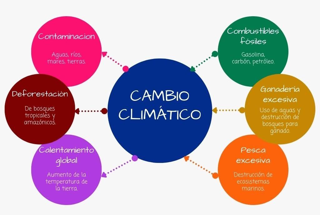 Diagrama radial: qué es, características, cómo se hace, ejemplos