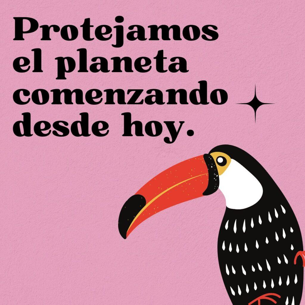 50 frases de reciclaje y sostenibilidad