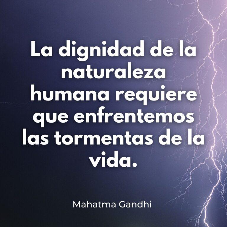 Reflexión Sobre La Dignidad Humana – PUIPFU