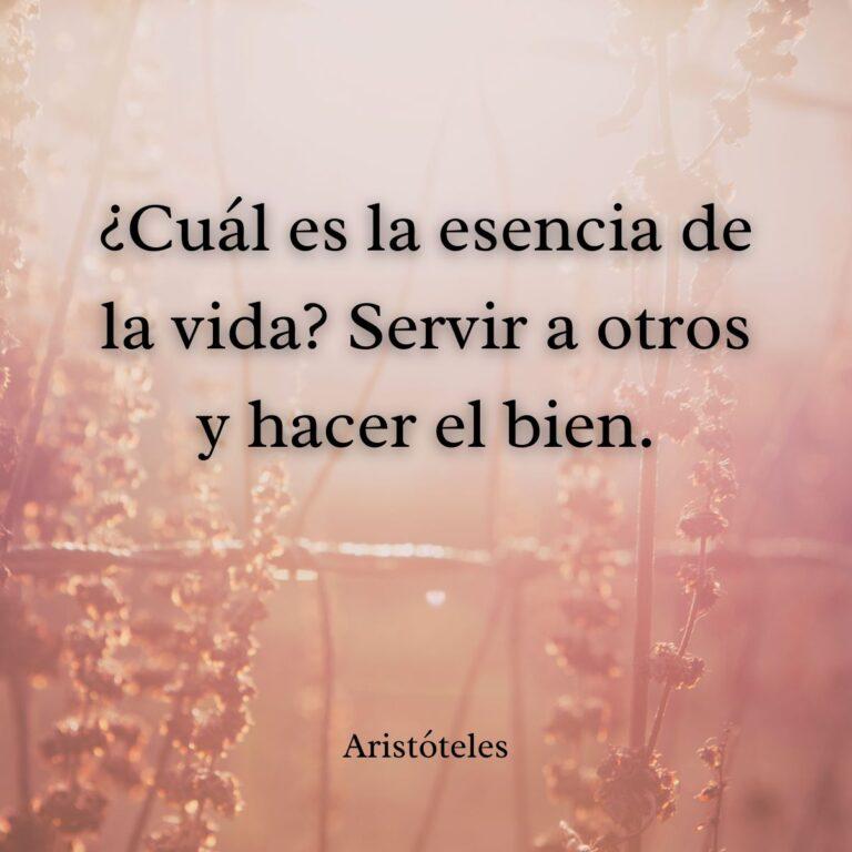 90+ frases de solidaridad