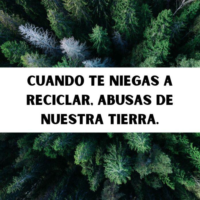 50 frases de reciclaje y sostenibilidad