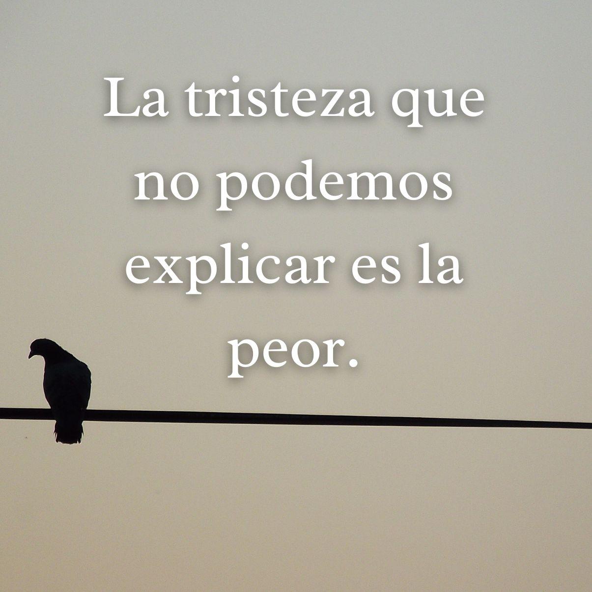100+ frases de tristeza