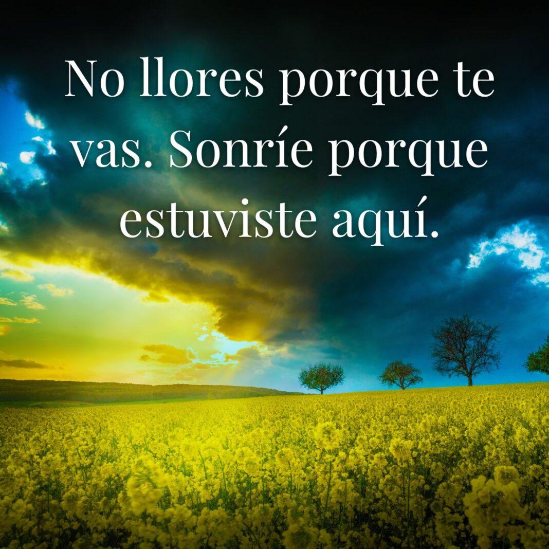 100+ frases de despedida para decir adiós o hasta luego