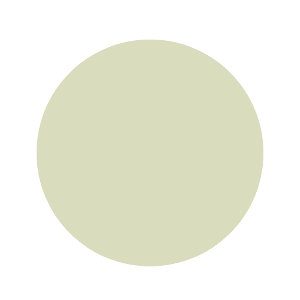 Los 14 colores que empiezan con Y más conocidos