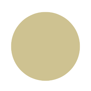 Los 14 colores que empiezan con Y más conocidos