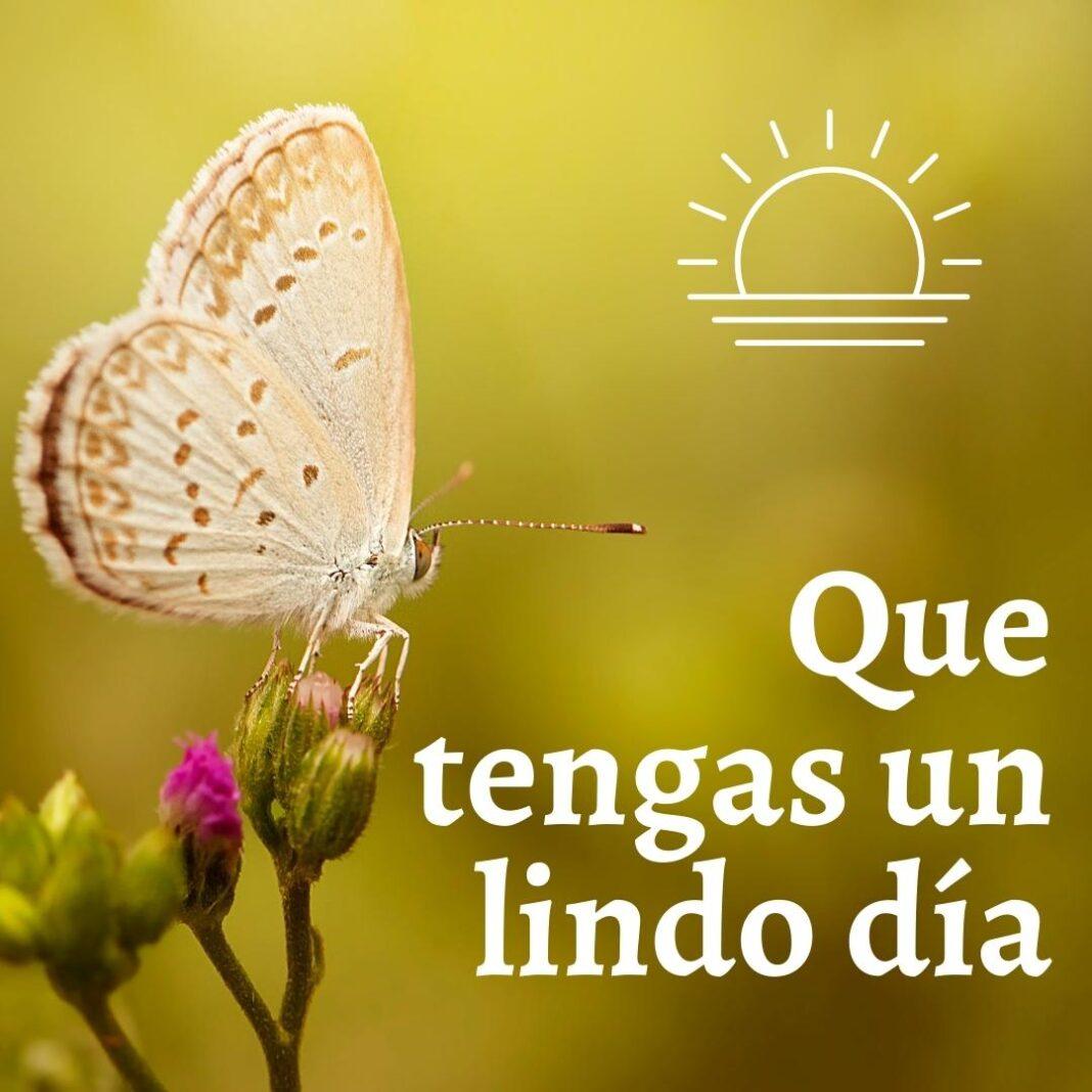 Que tengas un lindo día - 100 frases e imágenes bonitas