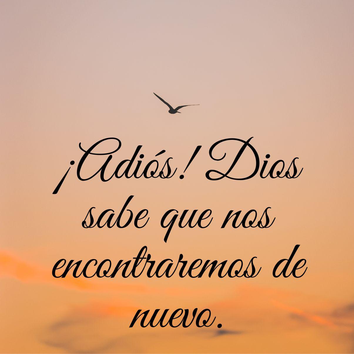 100+ frases de despedida para decir adiós o hasta luego