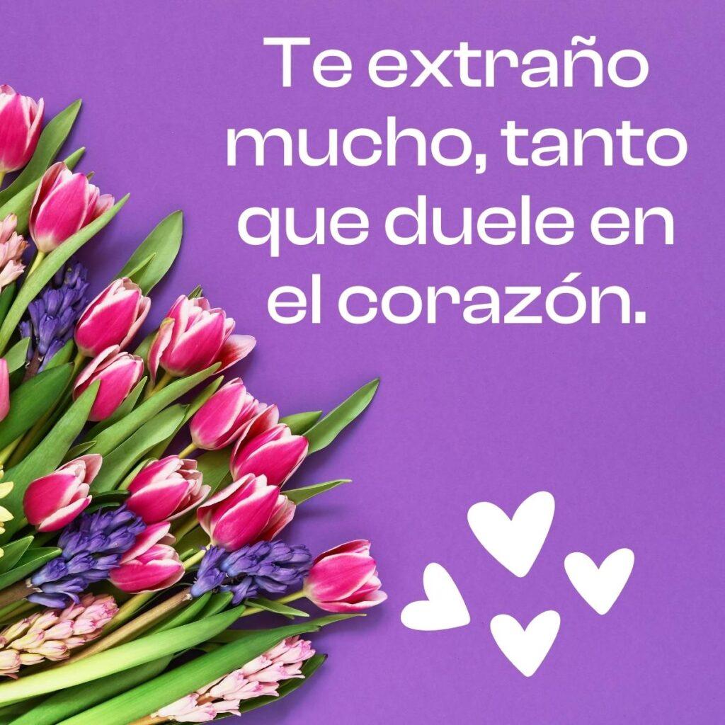 Te Extrano Mucho Amigo