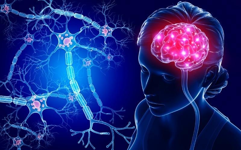 Memoria sensorial: qué es, características, funciones y tipos