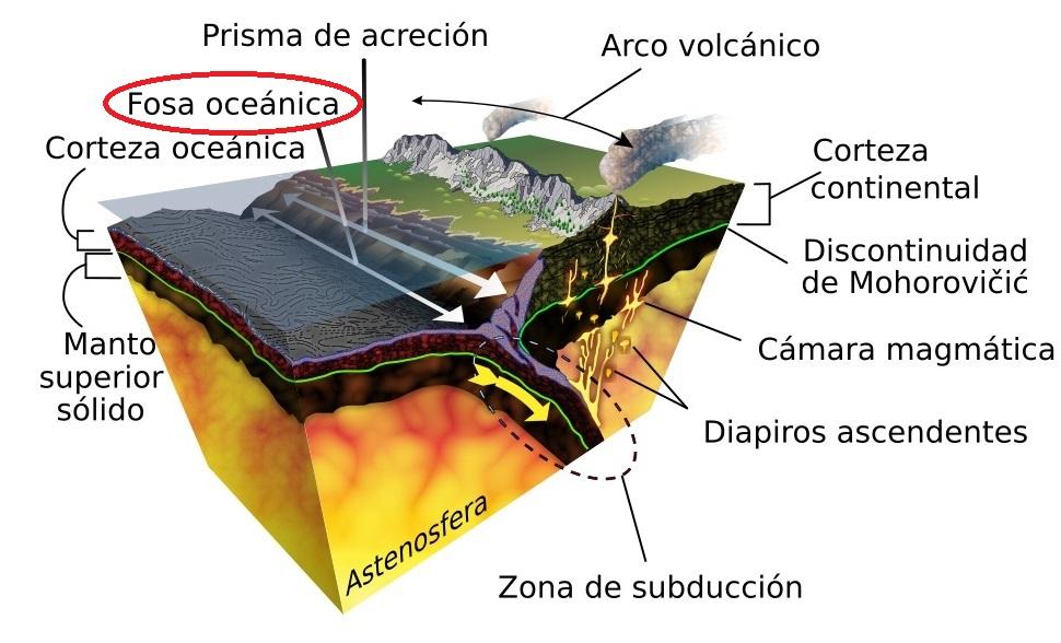 Fosas oceánicas: qué son, características, formación, ejemplos