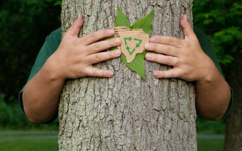 ¿por Qué Es Importante Cuidar La Biodiversidad