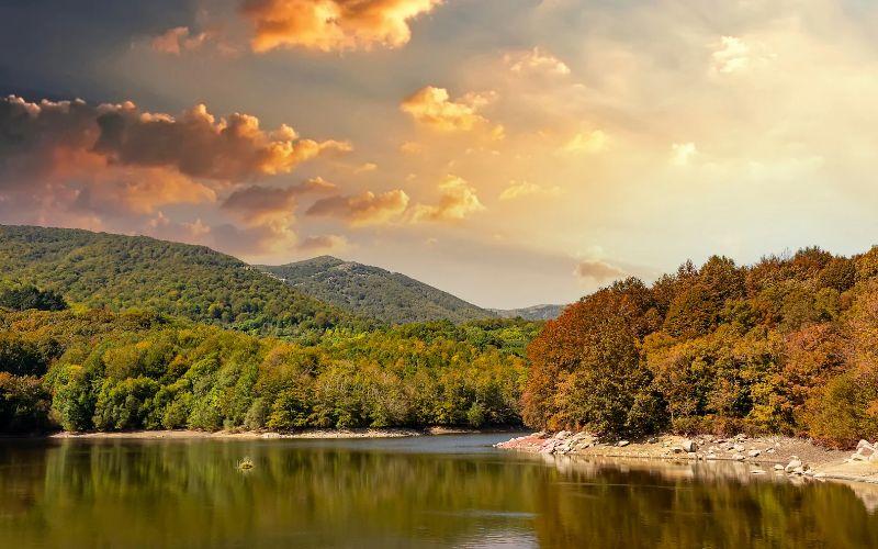 Elementos del medio ambiente y sus características