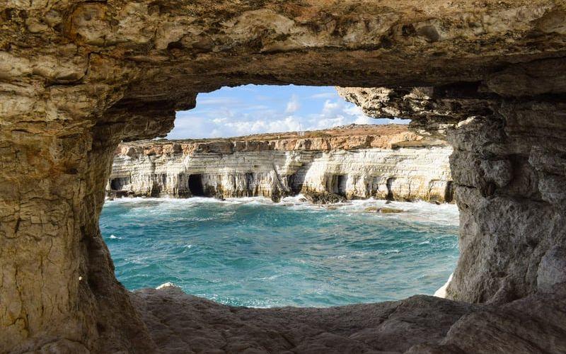 Estructuras naturales: qué son y ejemplos