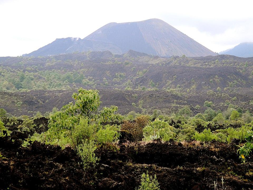 Volcán Paricutín: qué es, origen, distribución, características e ...